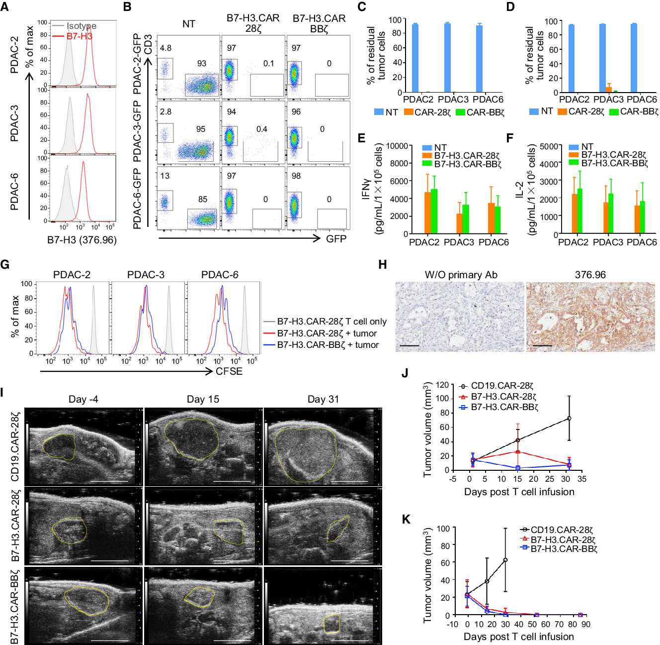 Figure 1 From Antitumor Responses In The Absence Of Toxicity In Solid