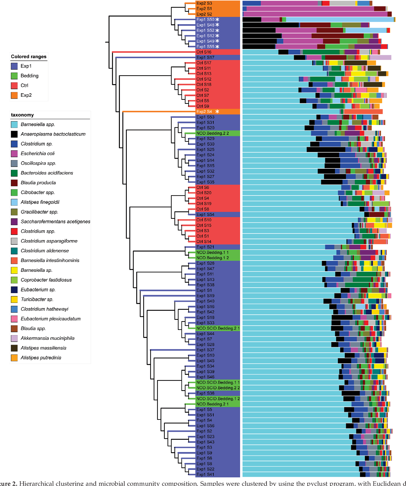 Segmented Filamentous Bacterium Semantic Scholar