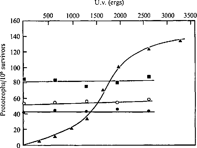 Figure 1 From The Genetic Implications Of Uv Light Exposure And