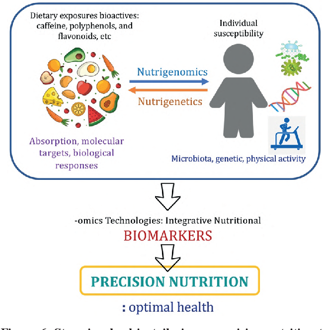 Pdf Nutrigenetics Nutrigenomics And Precision Nutrition Semantic