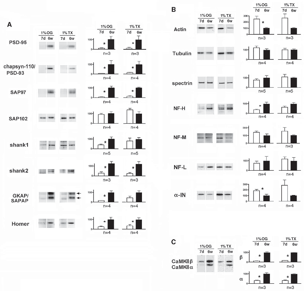 Table 1 From Protein Components Of The Backbone Structure Of