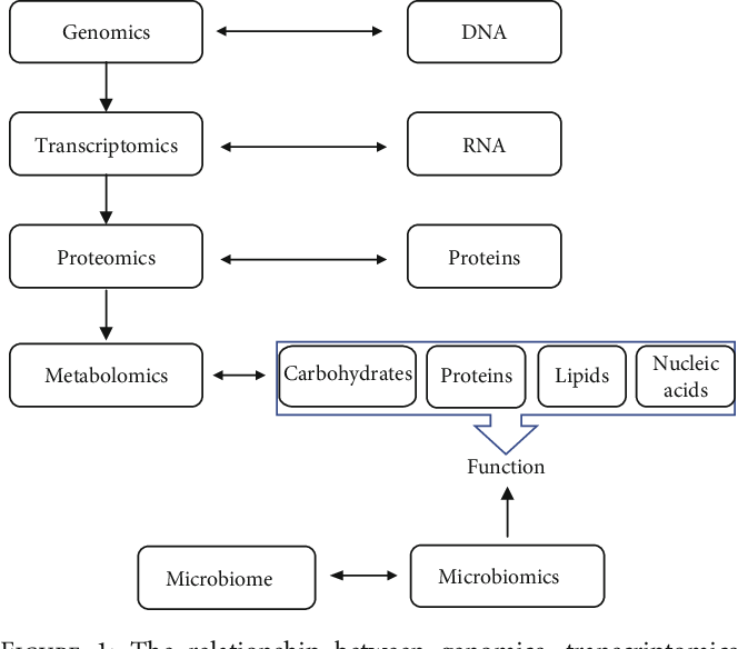 Figure 1 From Analytical Strategies In Lipidomics For Discovery Of