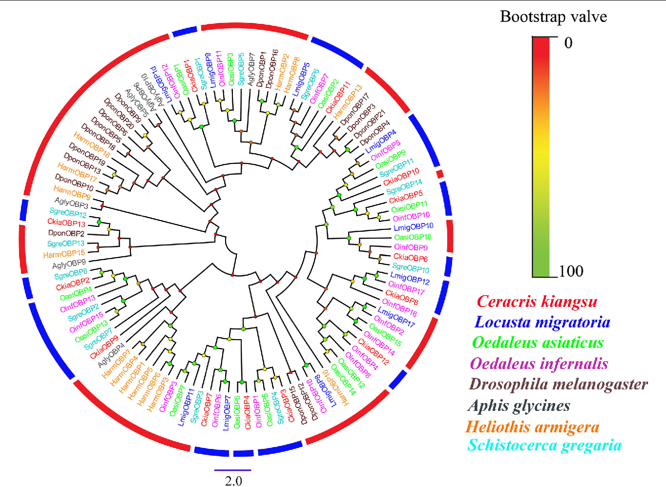 Table 1 From Identification And Expression Profile Analysis Of