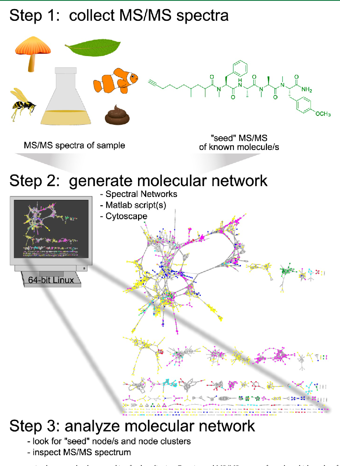 Figure 1 From Molecular Networking As A Dereplication Strategy