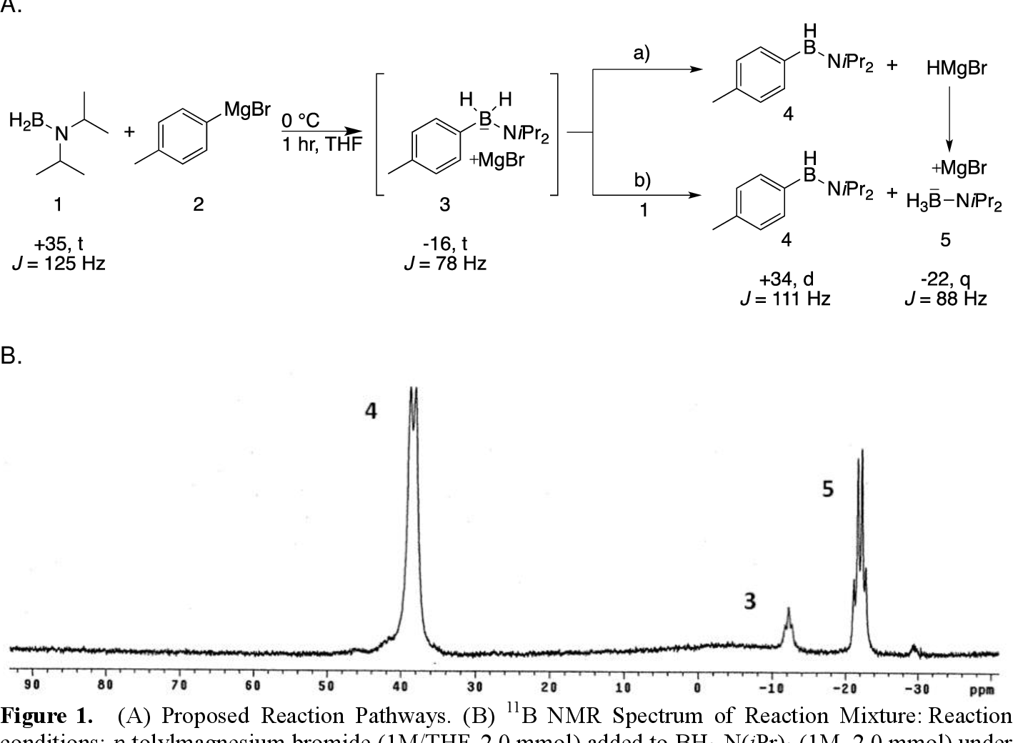 Reaction Of Grignard Reagents With Diisopropylaminoborane Synthesis Of