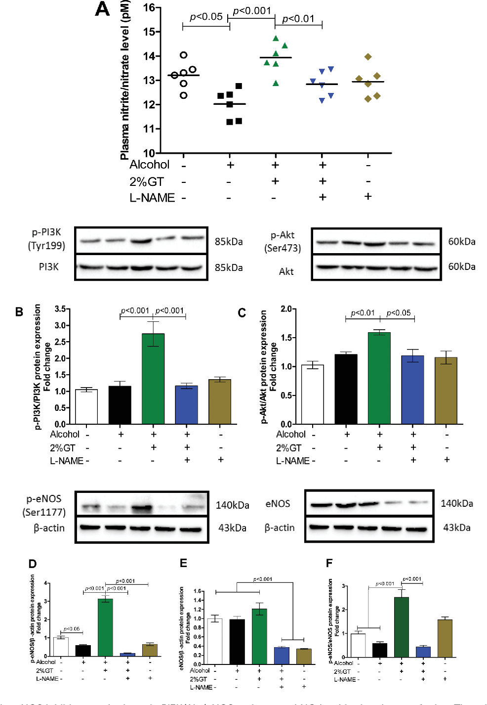 Figure 2 From Green Tea Infusion Protects Against Alcoholic Liver