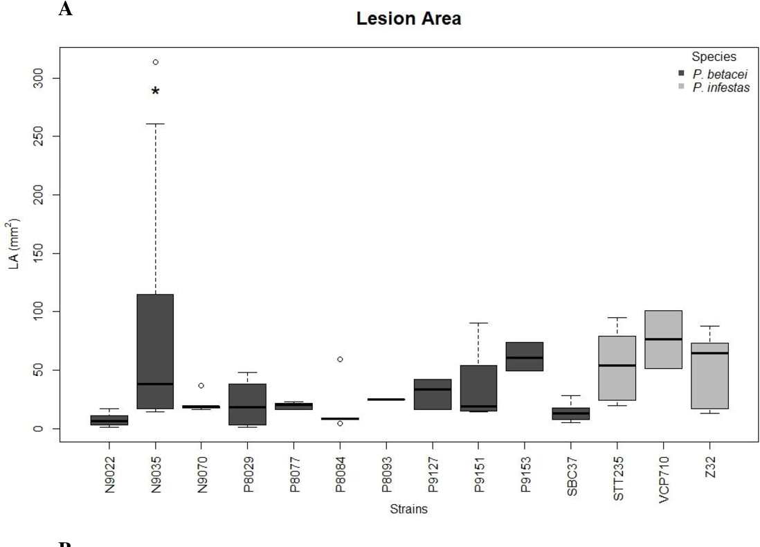 Figure 2 From Characterization Of The Infection Cycle Of Phytophthora