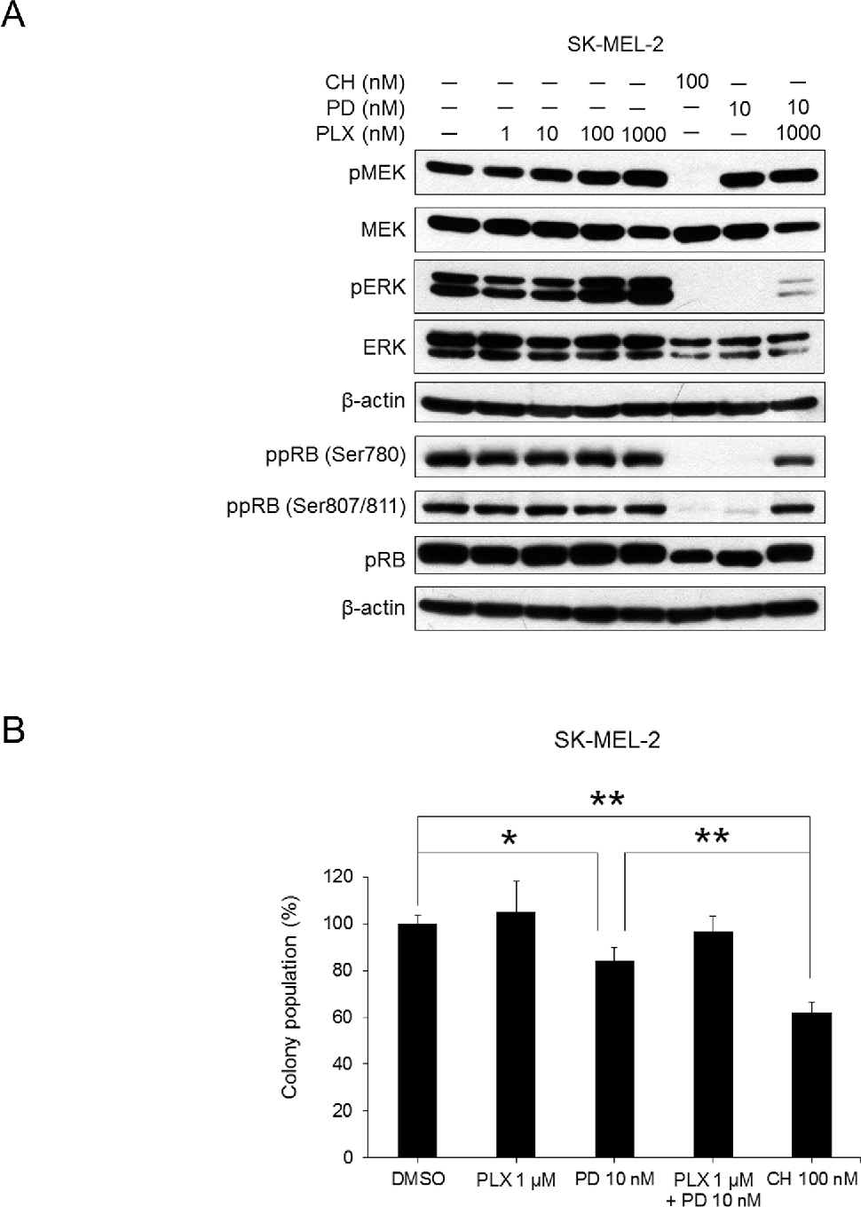 Figure 2 From The Dual Rafmek Inhibitor Ch5126766ro5126766 May Be A