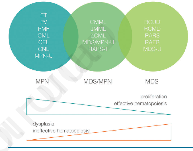 Figure 1 From An International Mdsmpn Working Groups Perspective And