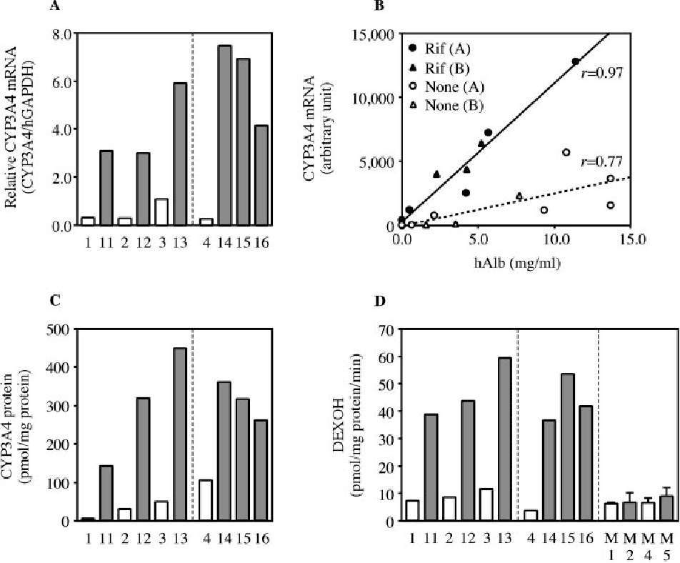 Pdf In Vivo Induction Of Human Cytochrome P450 Enzymes Expressed In