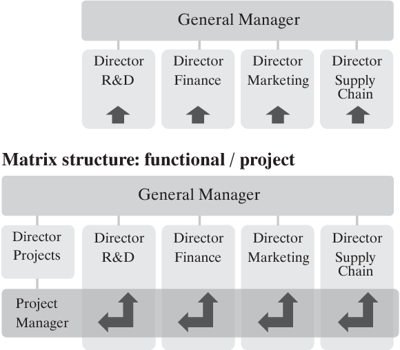 Pdf The Key Advantages And Disadvantages Of Matrix Organizational