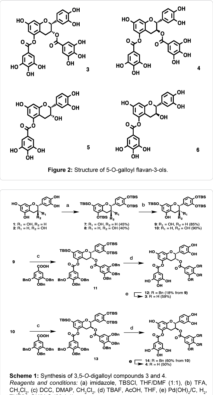 Role Of 23 Cis Structure Of − Epicatechin 35 O Digallate In