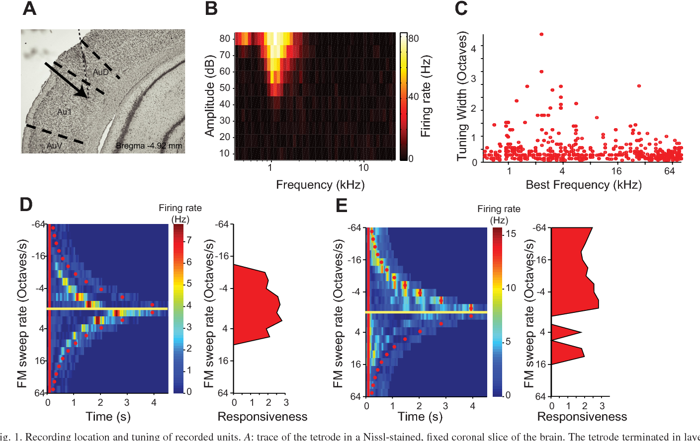 Figure 1 From Encoding Of Ultrasonic Vocalizations In The Auditory