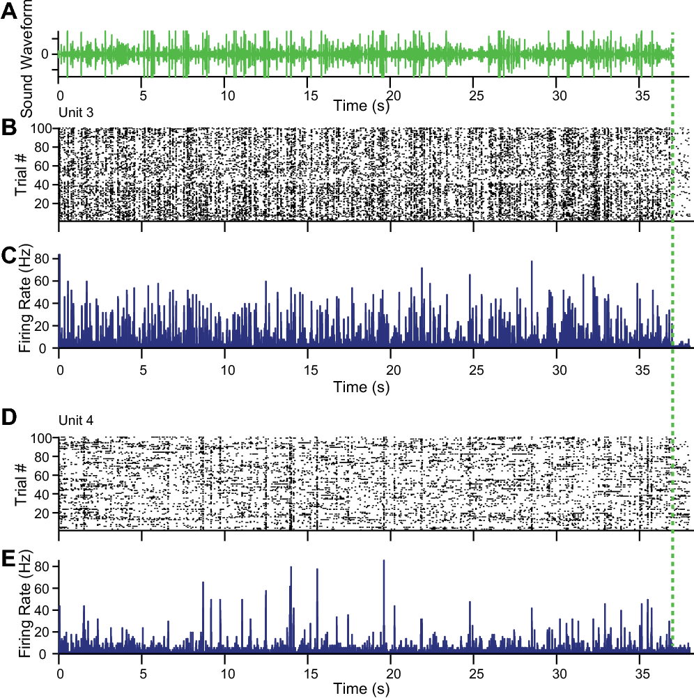 Figure 1 From Encoding Of Ultrasonic Vocalizations In The Auditory