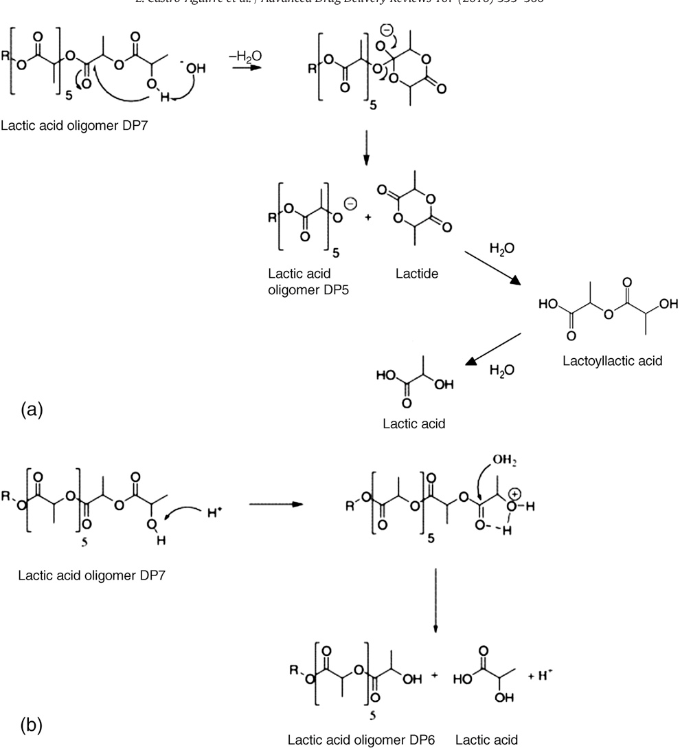 Polylactic Acid Degradation