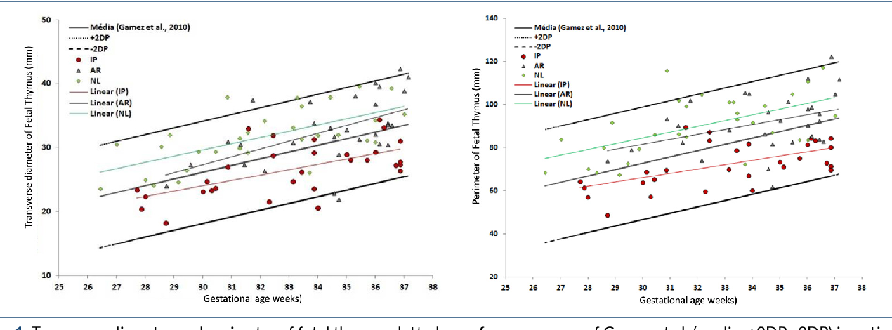 Pdf Fetal Thymus In Growth Restricted Fetuses Due To Placental