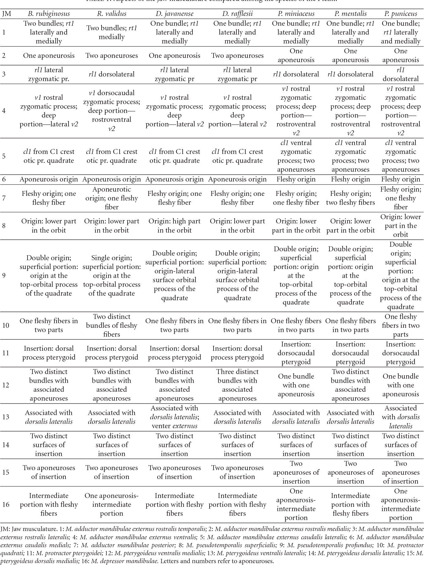 Superficial Layer Of Levator Palpebrae Superioris Semantic Scholar