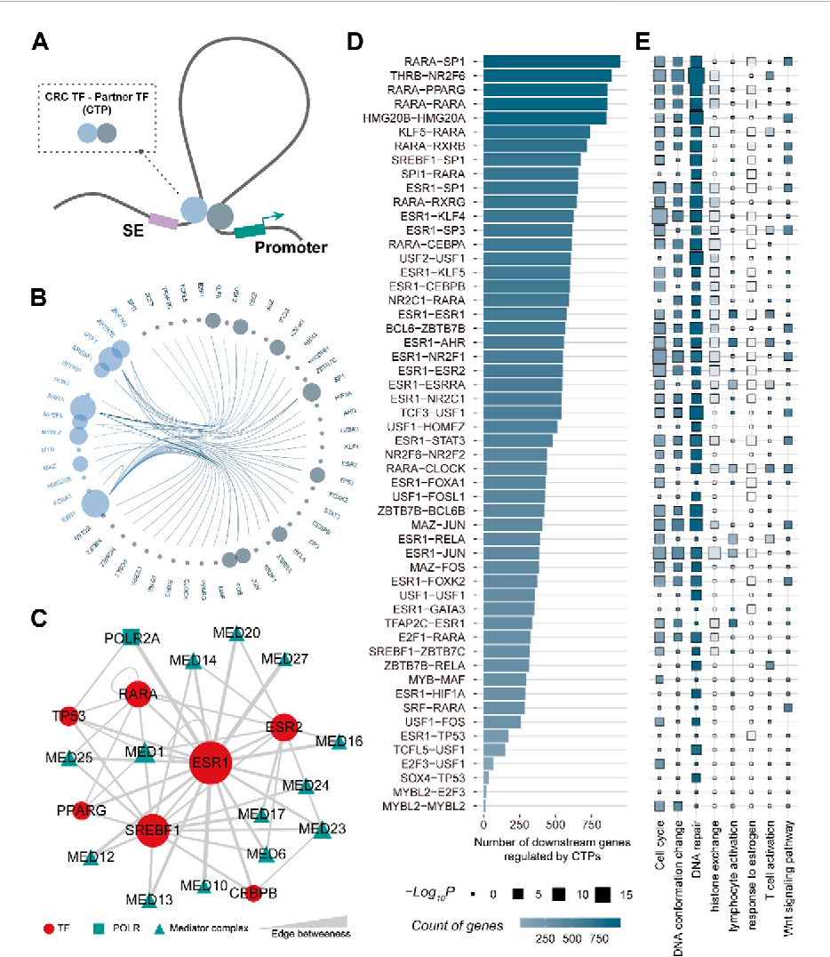 Figure 1 From Super Enhancer Driven Core Transcriptional Regulatory