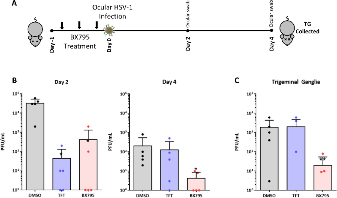 Figure 3 From Prior Inhibition Of Akt Phosphorylation By Bx795 Can