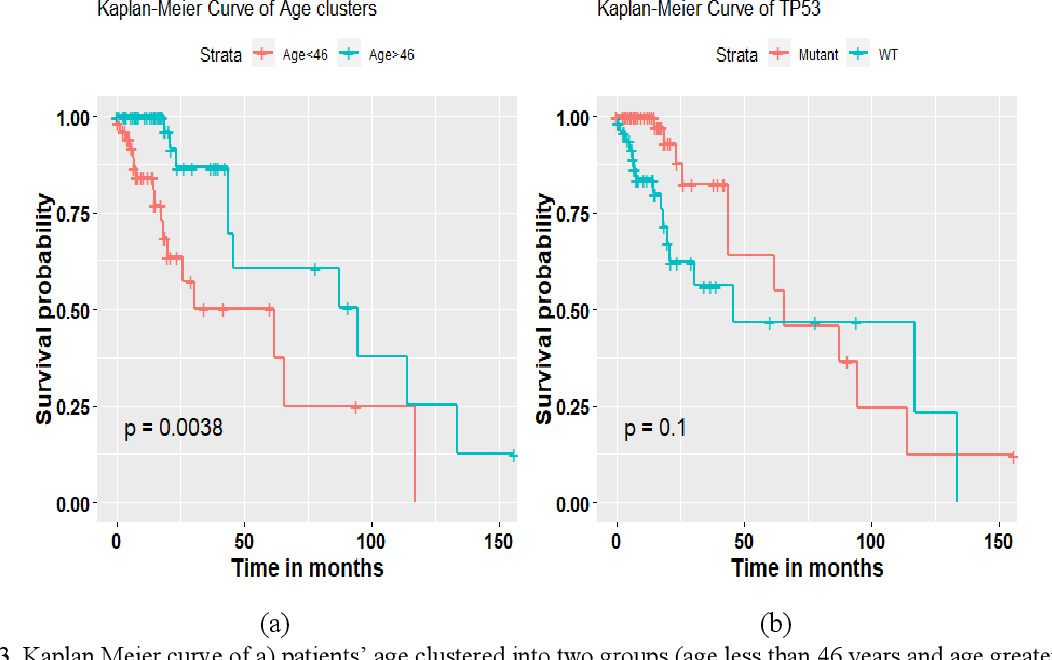 Figure 1 From Efficacy Of Radiomics And Genomics In Predicting Tp53