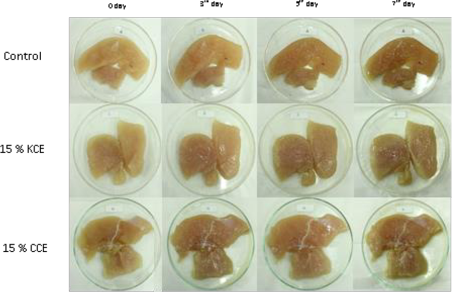 Figure 1 From Antioxidant Activity Of Banana Kepok Kuning Musa