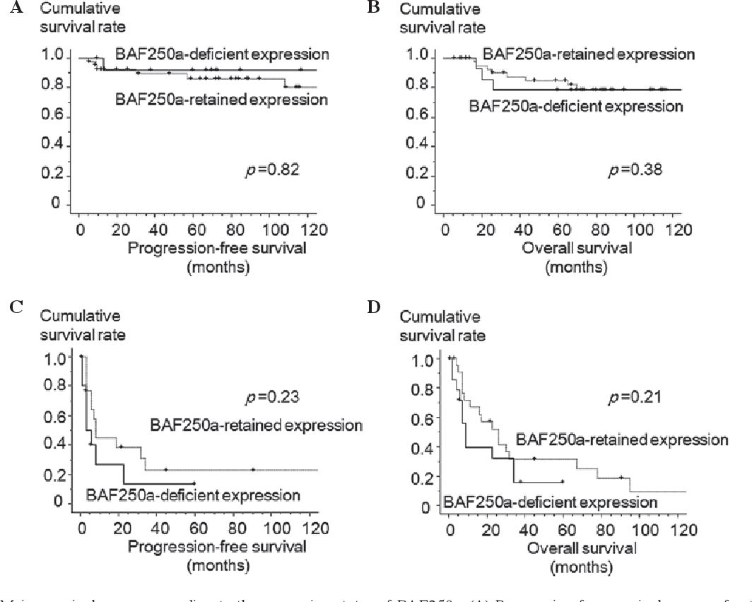 Figure 3 From Effect Of Arid1abaf250a Expression On Carcinogenesis And