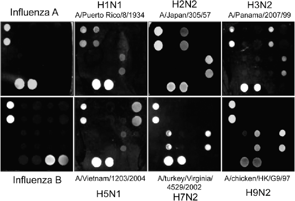 Pdf Nanomicroarray And Multiplex Next Generation Sequencing For