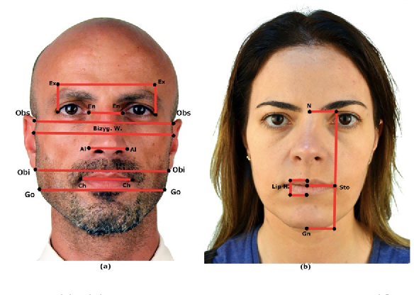Sex Estimation From Biometric Face Photos For Forensic Purposes