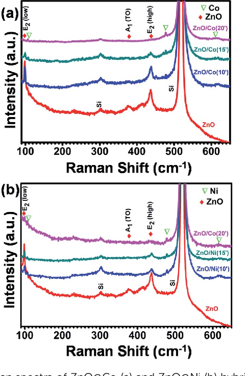 Pdf Enhanced Ferromagnetism Of Znoconi Hybrid Coreshell Nanowires