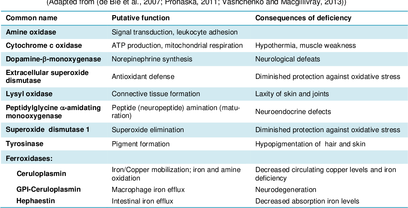 Neurotransmitters And Their Functions Chart