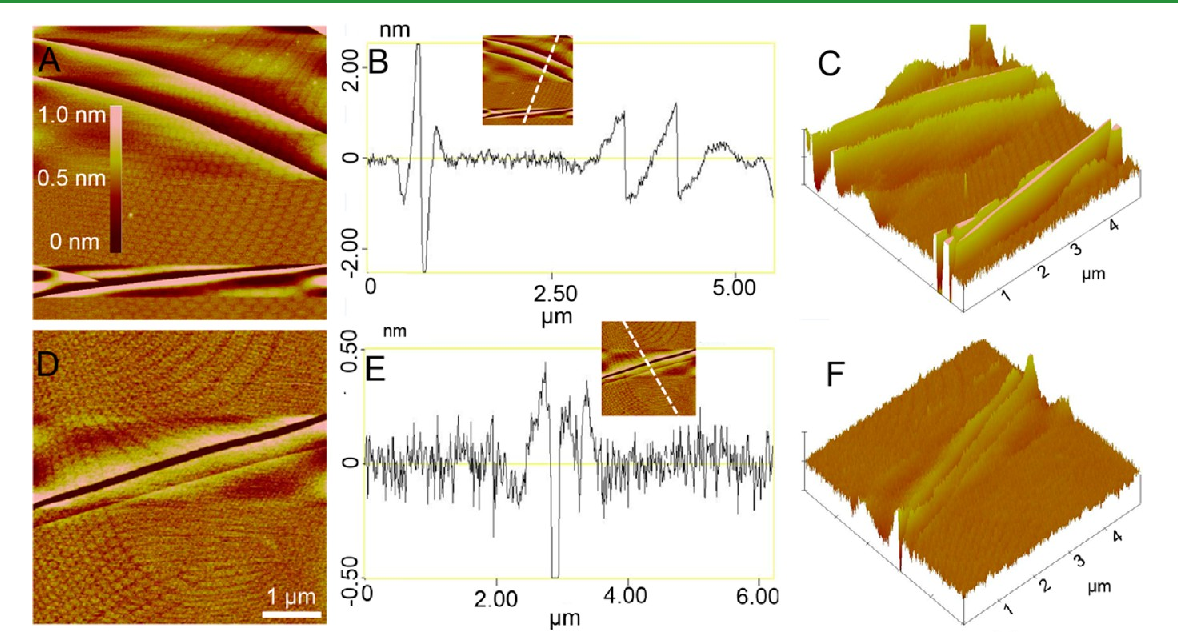 Figure 1 From Large Scale Anomalous Patterns Of Muscovite Mica