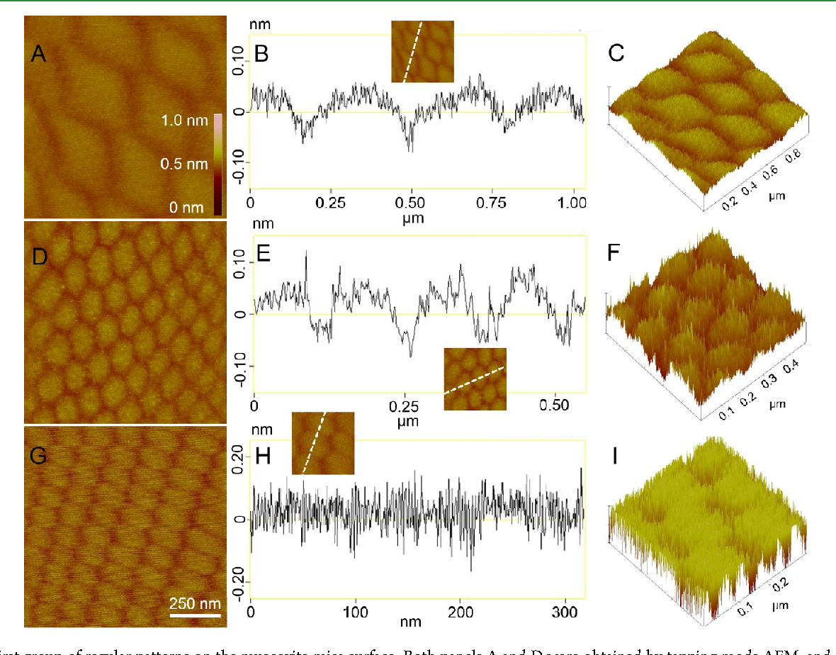 Figure 1 From Large Scale Anomalous Patterns Of Muscovite Mica