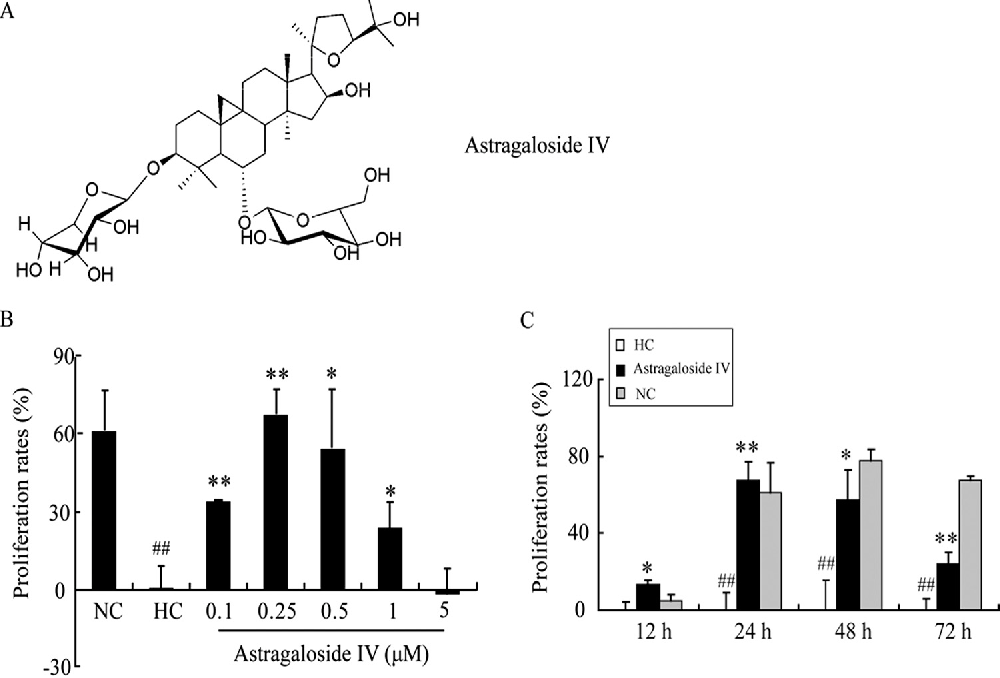 Figure 3 From Astragaloside Iv Stimulates Angiogenesis And Increases