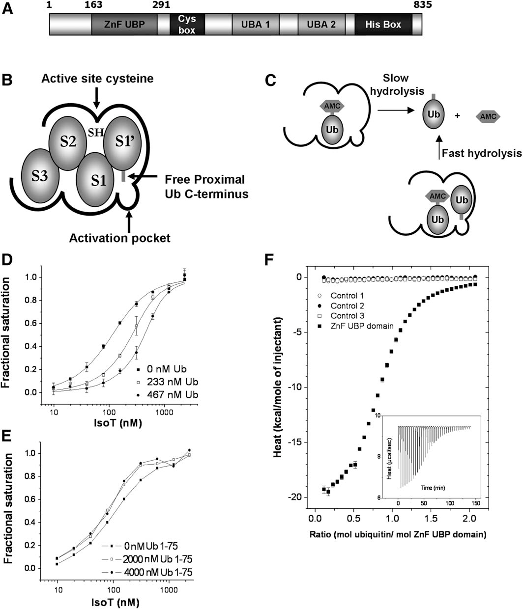 Figure 1 From The Ubiquitin Binding Domain Znf Ubp Recognizes The C