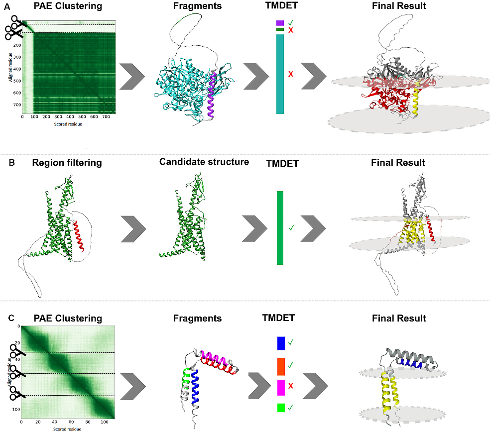 Pdf Tmalphafold Database Membrane Localization And Evaluation Of