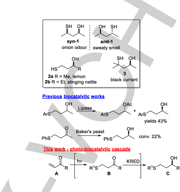 Pdf Photo Biocatalytic One Pot Cascades For The Enantioselective