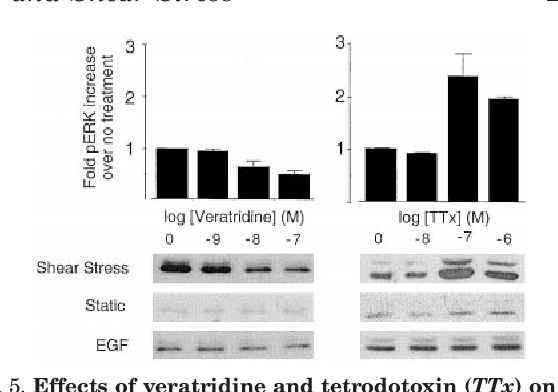 Figure 1 From Shear Stress Mediated Extracellular Signal Regulated