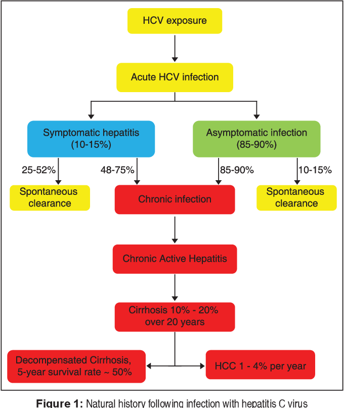 Hepatitis C Virus Screening Diagnosis And Interpretation Of