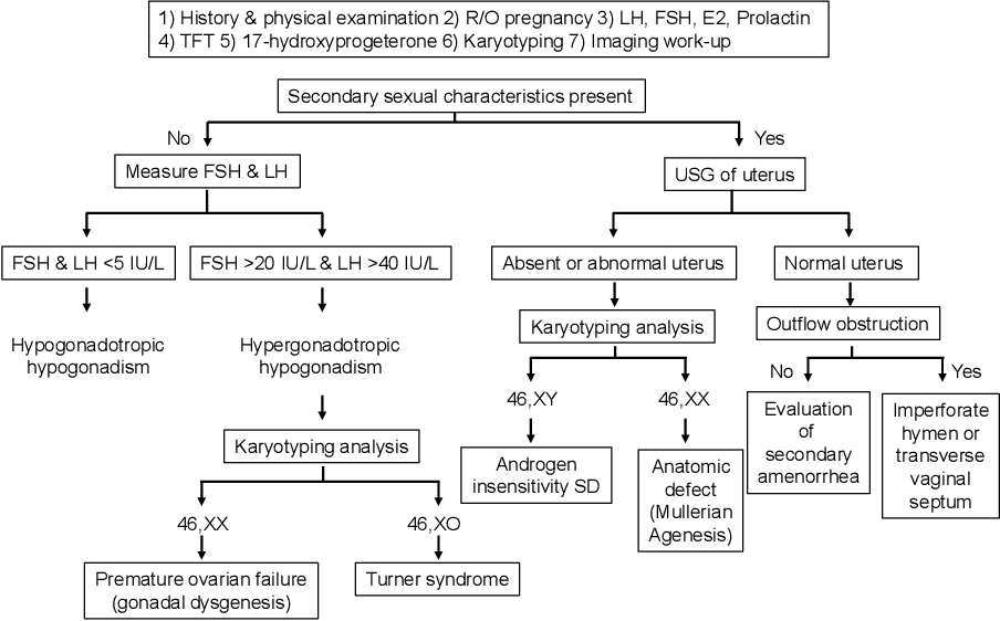 Pdf Evaluation And Management Of Amenorrhea Related To Congenital Sex