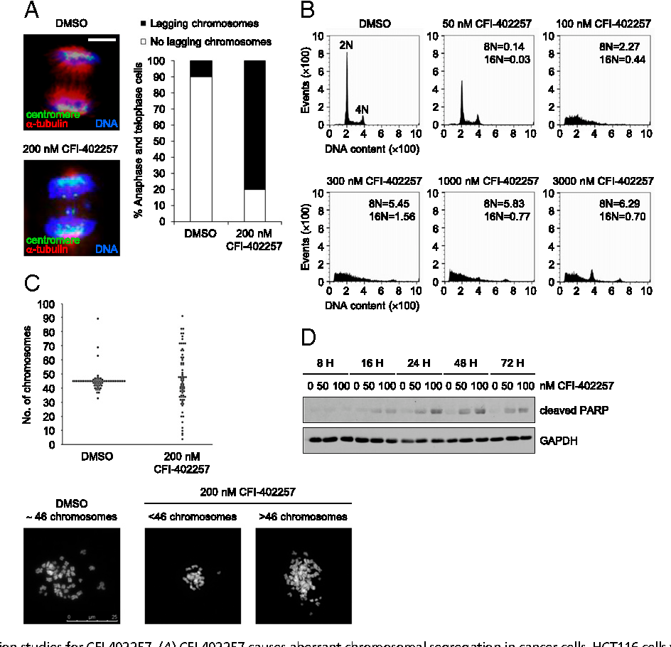 Threonine Tyrosine Kinase Inhibitor Cfi 402257 Semantic Scholar