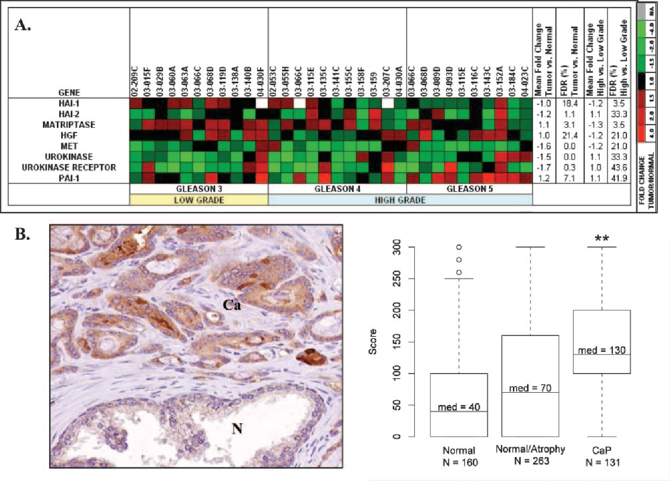 Figure 1 From Tumorigenesis And Neoplastic Progression Regulation Of