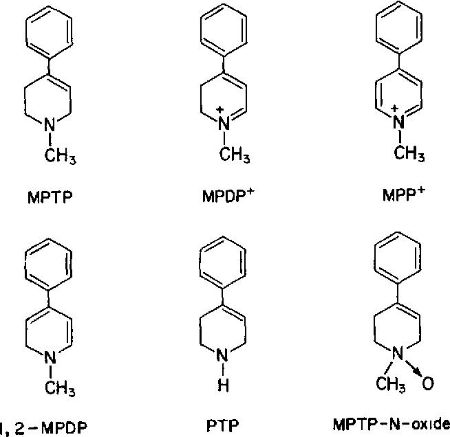 Pdf Role Of 1 Methyl 4 Phenylpyridinium Ion Formation And