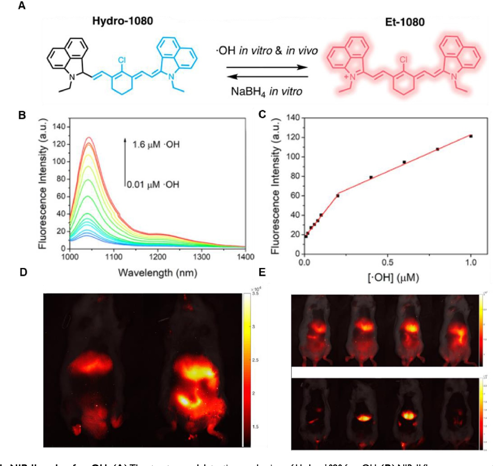 Pdf Activatable Nir Ii Organic Fluorescent Probes For Bioimaging