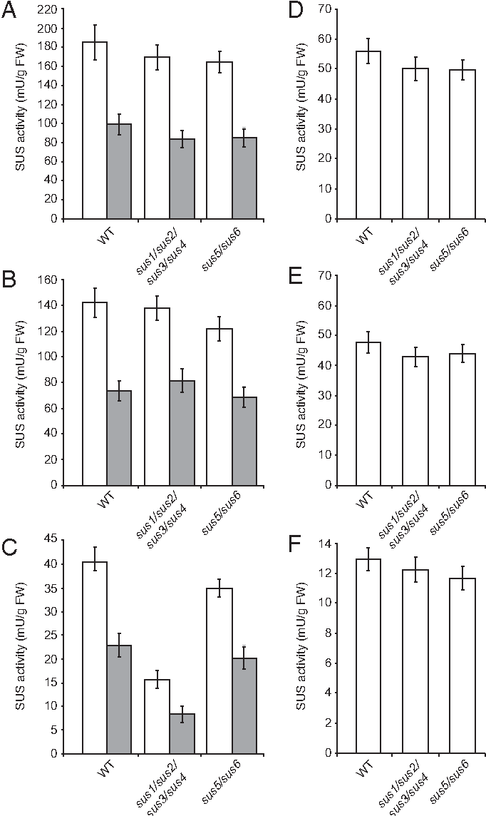 Pdf Sucrose Synthase Activity In The Sus1sus2sus3sus4 Arabidopsis