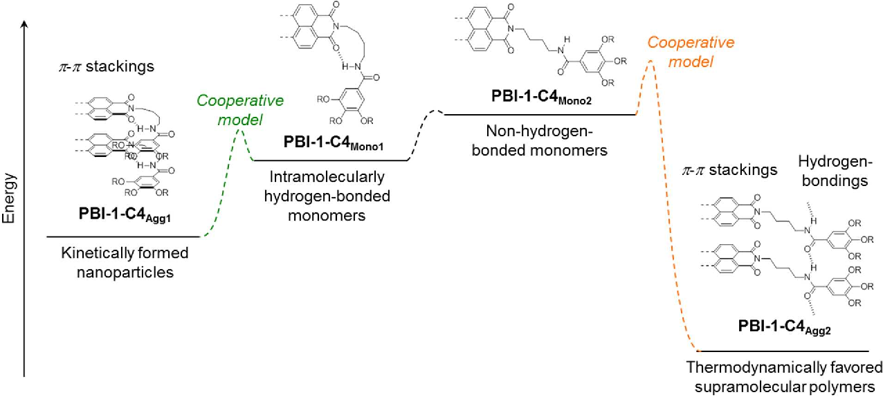 Figure 1 From Impact Of Alkyl Spacer Length On Aggregation Pathways In