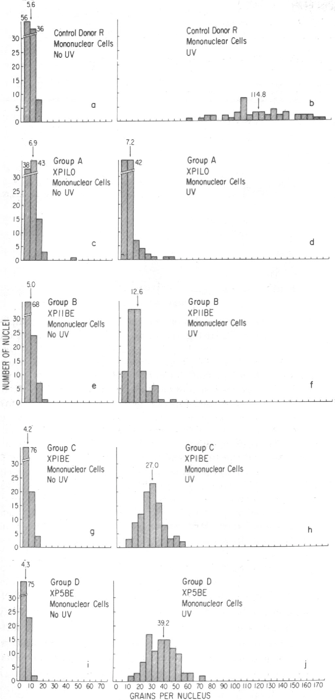 Table 1 From Genetic Heterogeneity In Xeroderma Pigmentosum