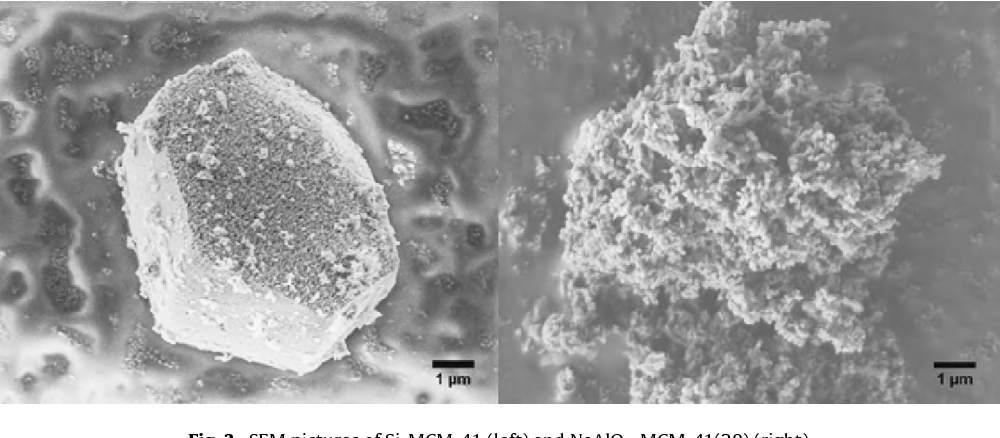 Table 1 From Proton Conductivity Of Ordered Mesoporous Materials