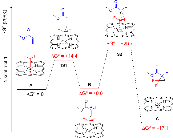 Table 1 From Difluorocarbene Transfer From A Cobalt Complex To An