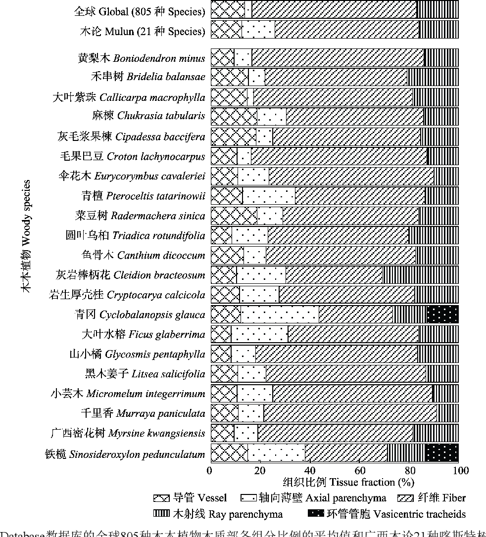 Analysis Of Xylem Anatomy And Function Of Representative Tree Species