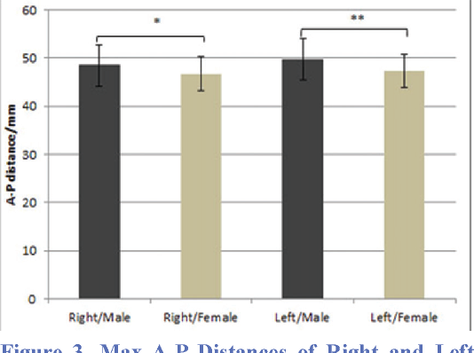 Figure 1 From Morphology Of Human Insula In Iranian Population And Its